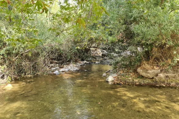 A Full Guide to the Mount of Olives in Jerusalem - Backpack Israel