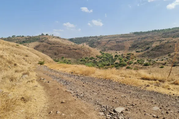 The Golan Trail: A Full Guide for Hikers - Backpack Israel